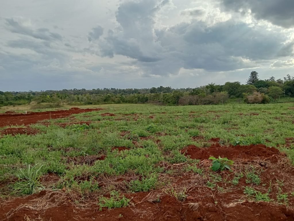 Baraka Gardens - 50 by 100 Plots in Gatanga - Mhasibu Housing Company Ltd