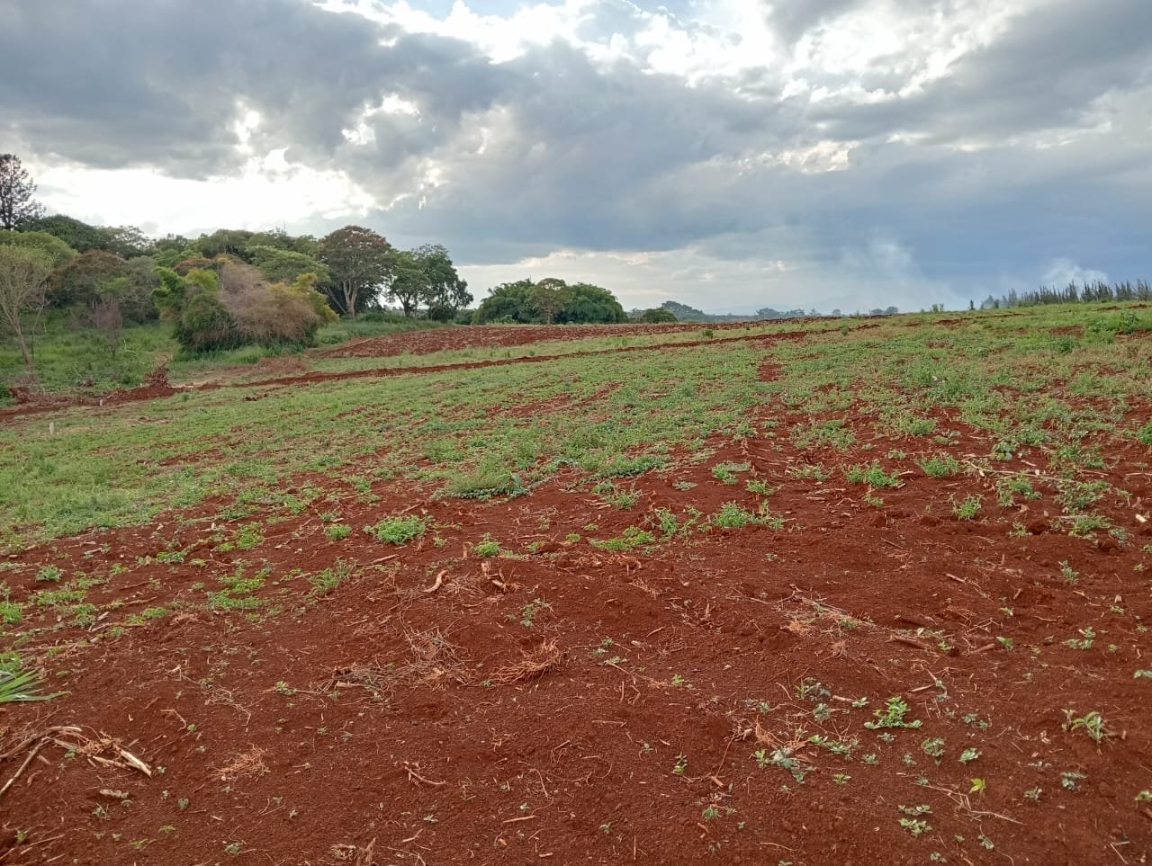 Baraka Gardens - 50 by 100 Plots in Gatanga - Mhasibu Housing Company Ltd