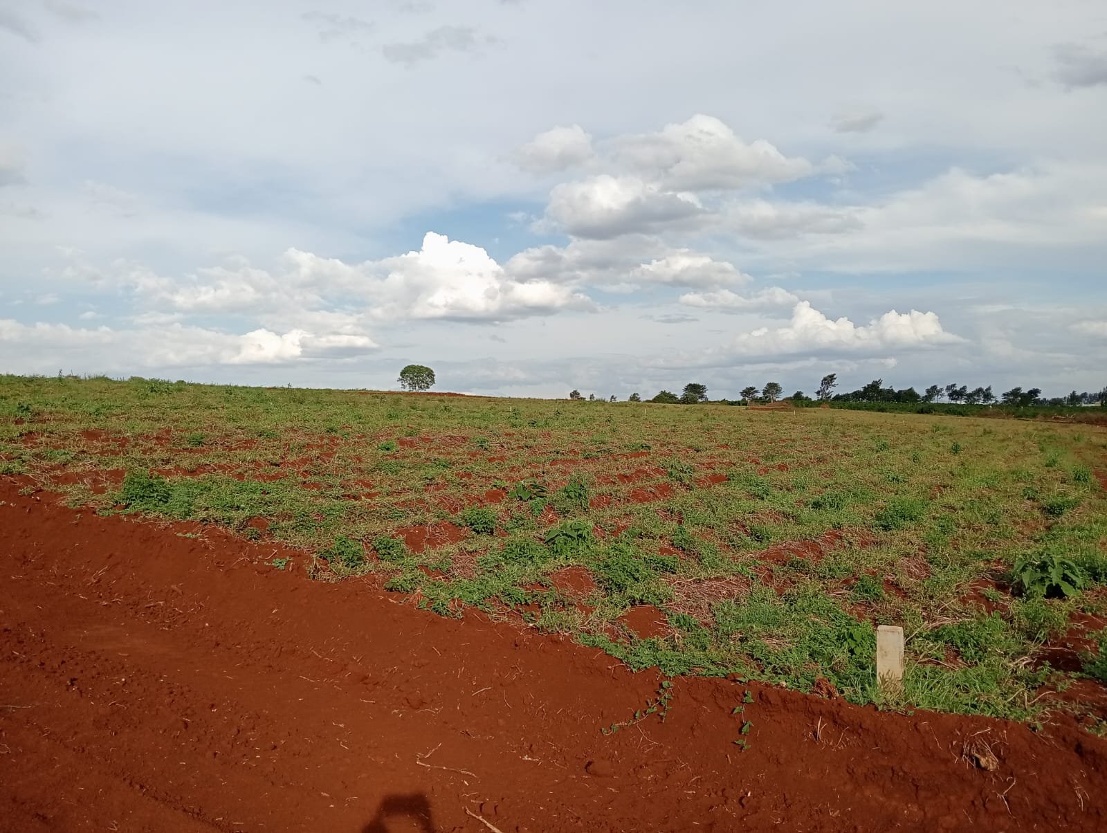 Baraka Gardens - 50 by 100 Plots in Gatanga - Mhasibu Housing Company Ltd