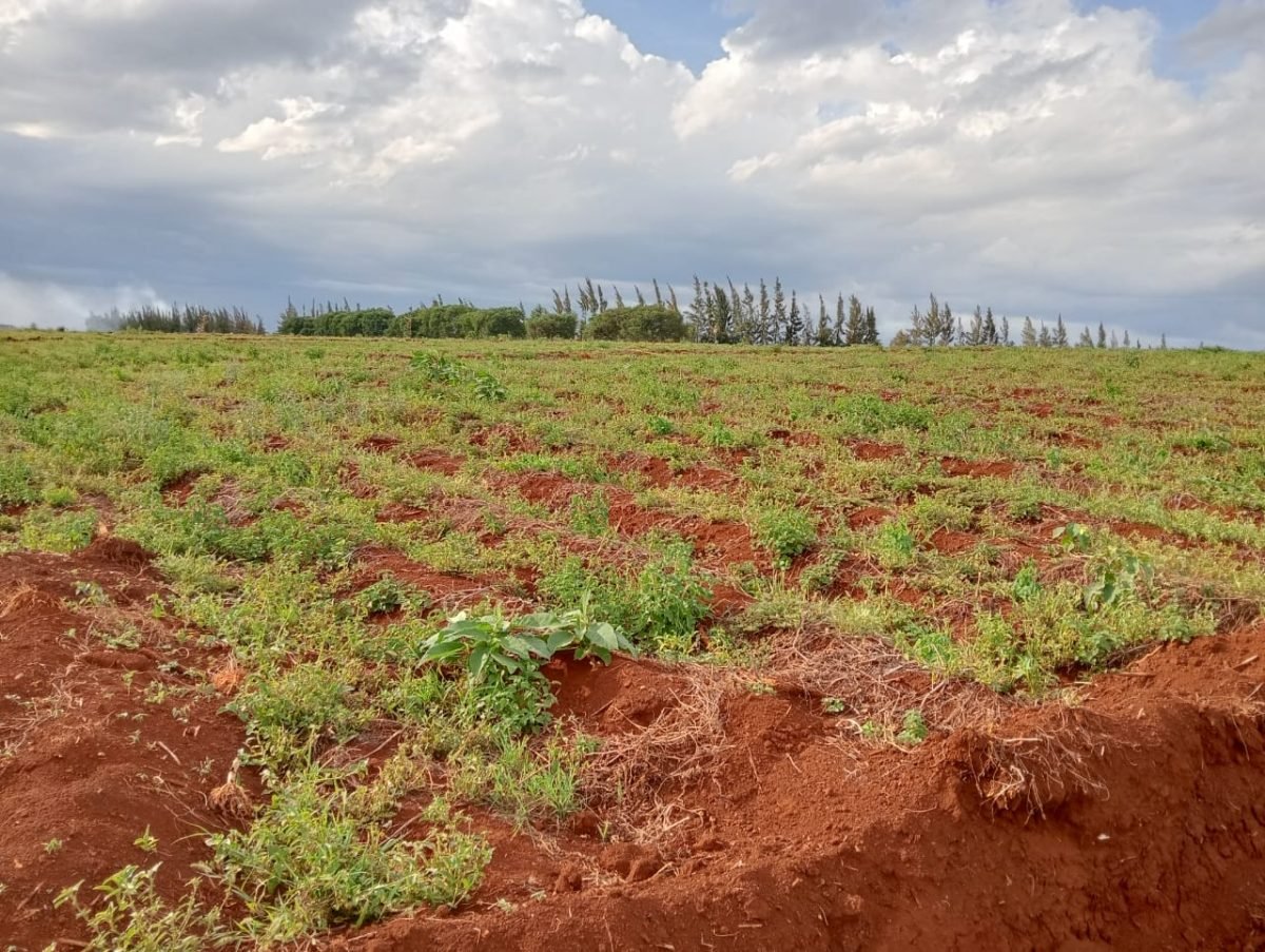 Baraka Gardens - 50 by 100 Plots in Gatanga - Mhasibu Housing Company Ltd