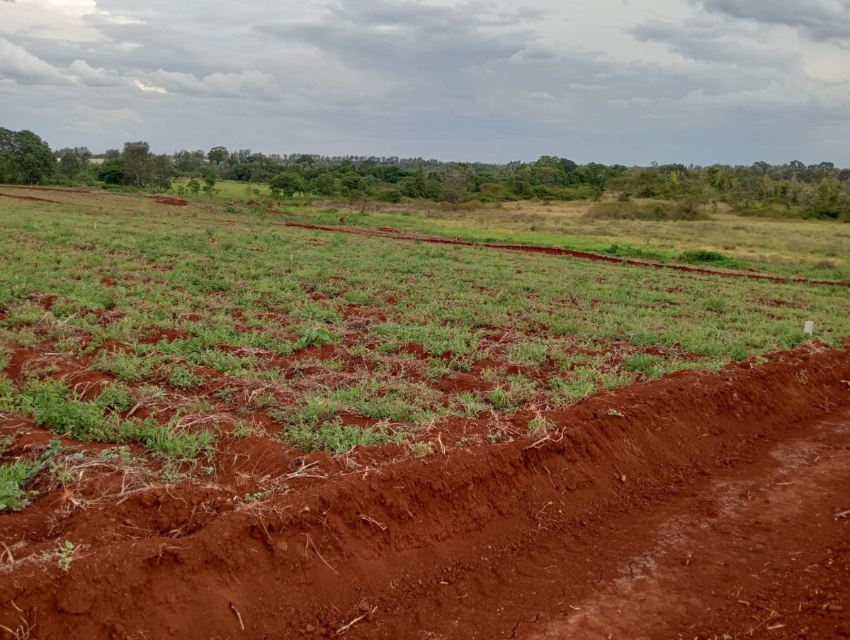 Baraka Gardens - 50 by 100 Plots in Gatanga - Mhasibu Housing Company Ltd