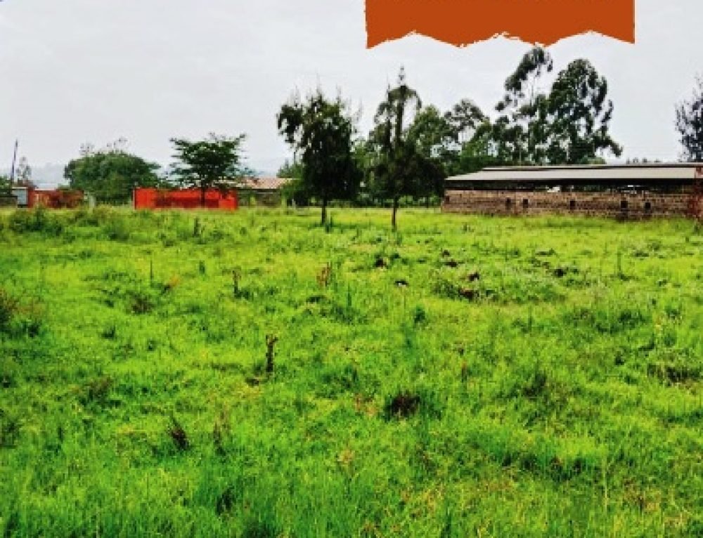 Baraka Gardens - 50 by 100 Plots in Gatanga - Mhasibu Housing Company Ltd