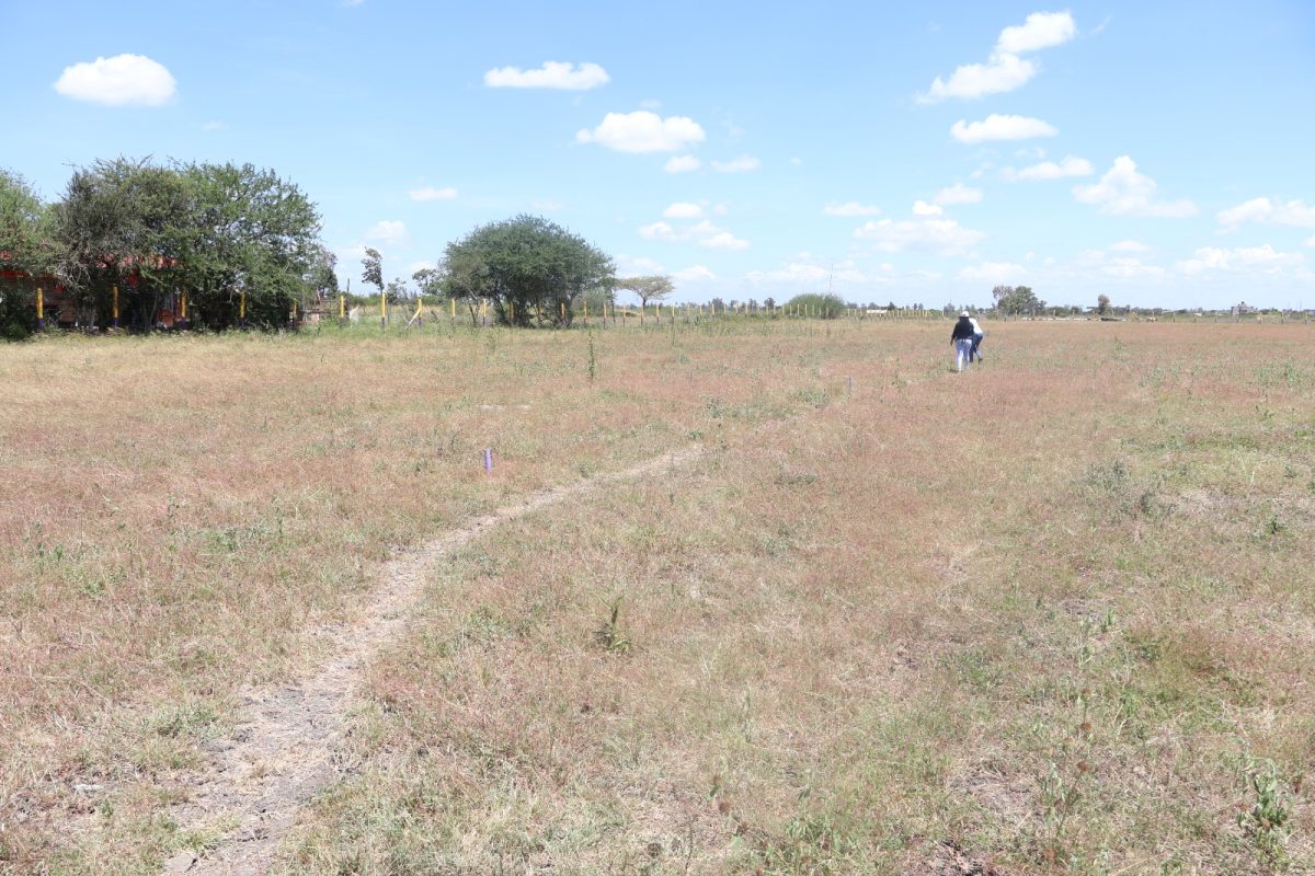 Emerald Court - 40*90 Plots in Ruiru East (Gikumari) - Mhasibu Housing Company Ltd