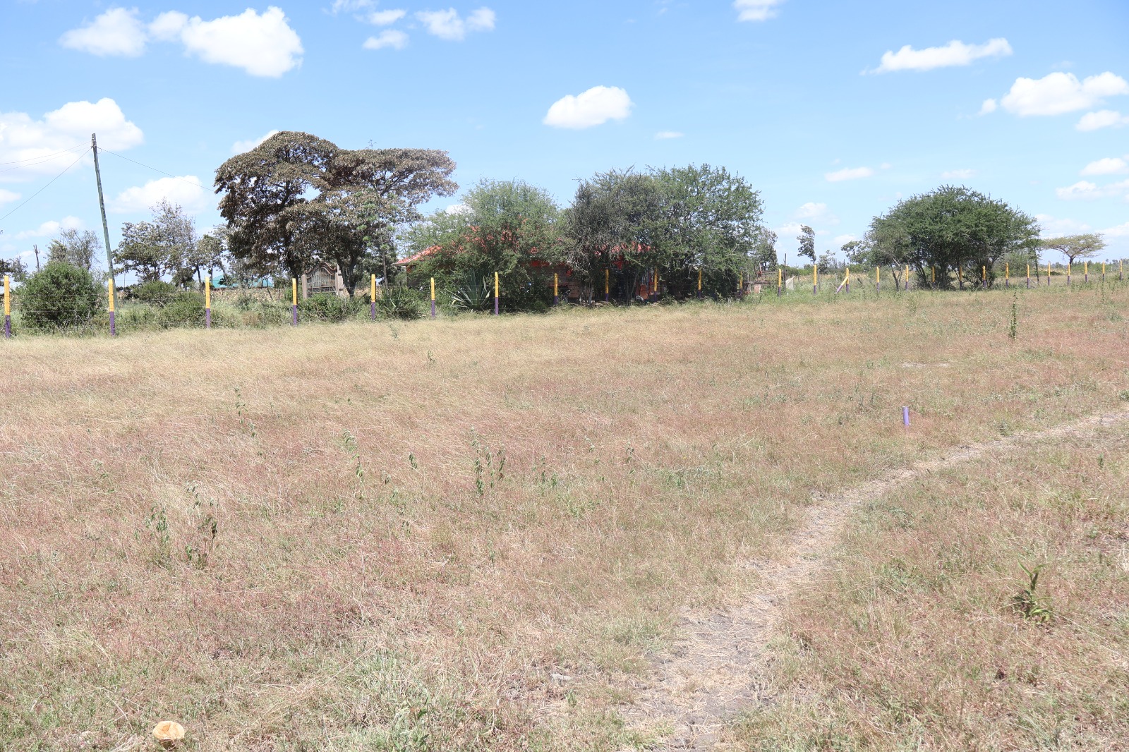 Emerald Court - 40*90 Plots in Ruiru East (Gikumari) - Mhasibu Housing Company Ltd