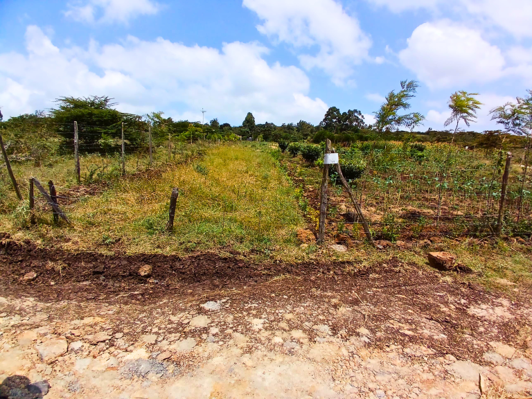 Caribou Estate - Plots for Sale in Ngong - Mhasibu Housing Company Ltd